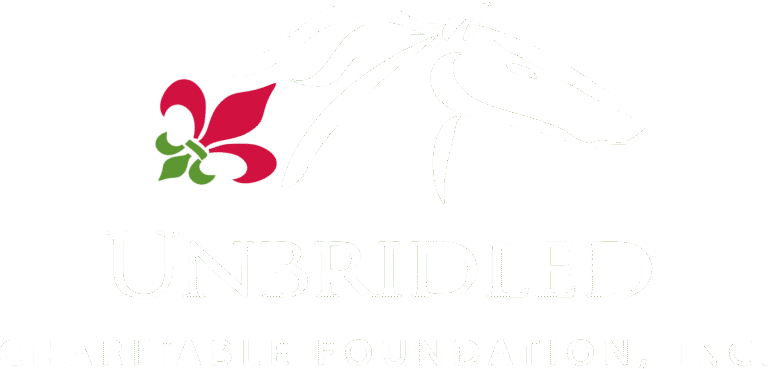 Auction Form – Unbridled Eve Derby Gala